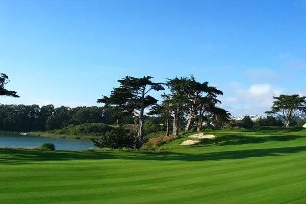TPC Harding Park (Max Score) — Palo Alto Golf Club