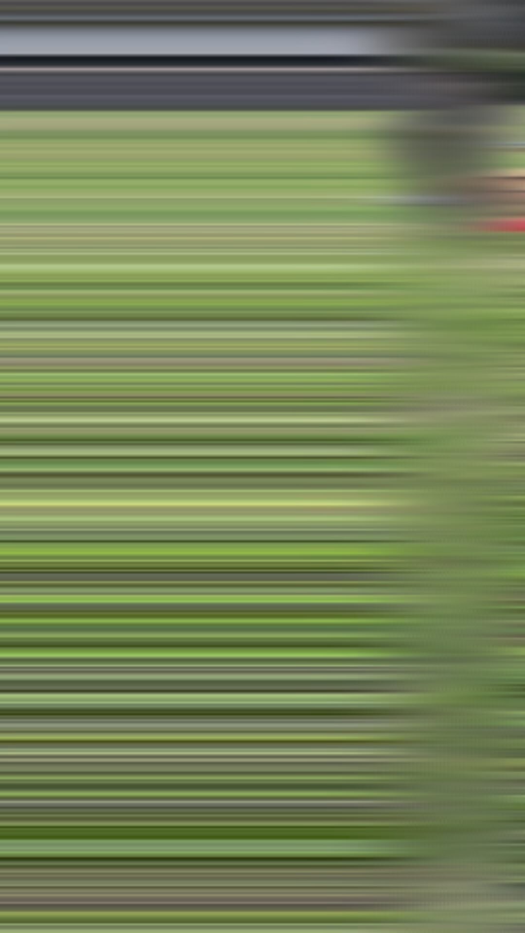 Complete K9 Training