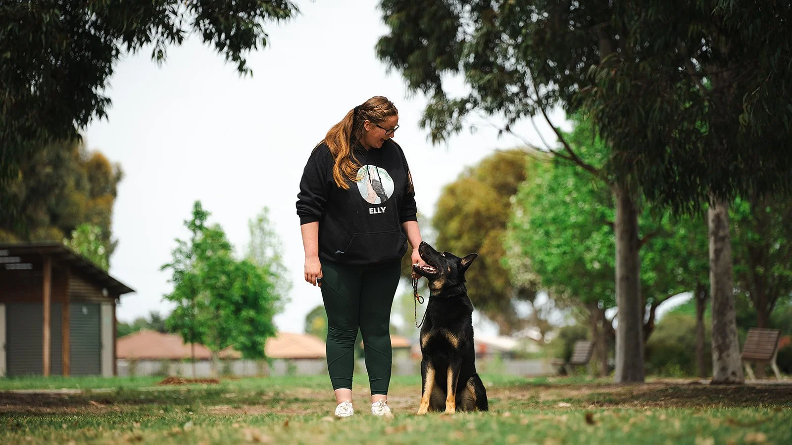 Complete K9 Training