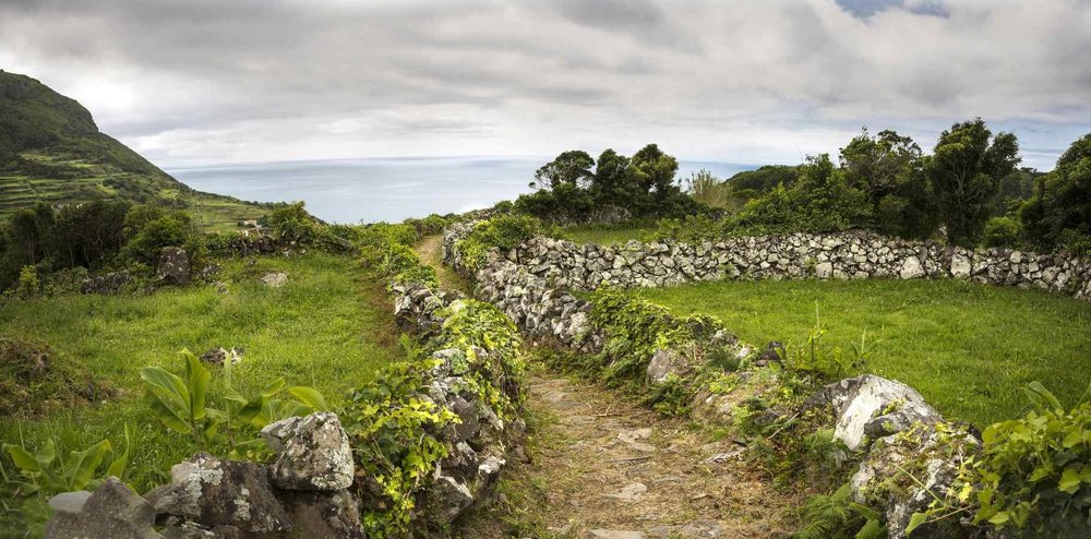 The Ancient Art of Cornish Hedging — Woodland Stonework