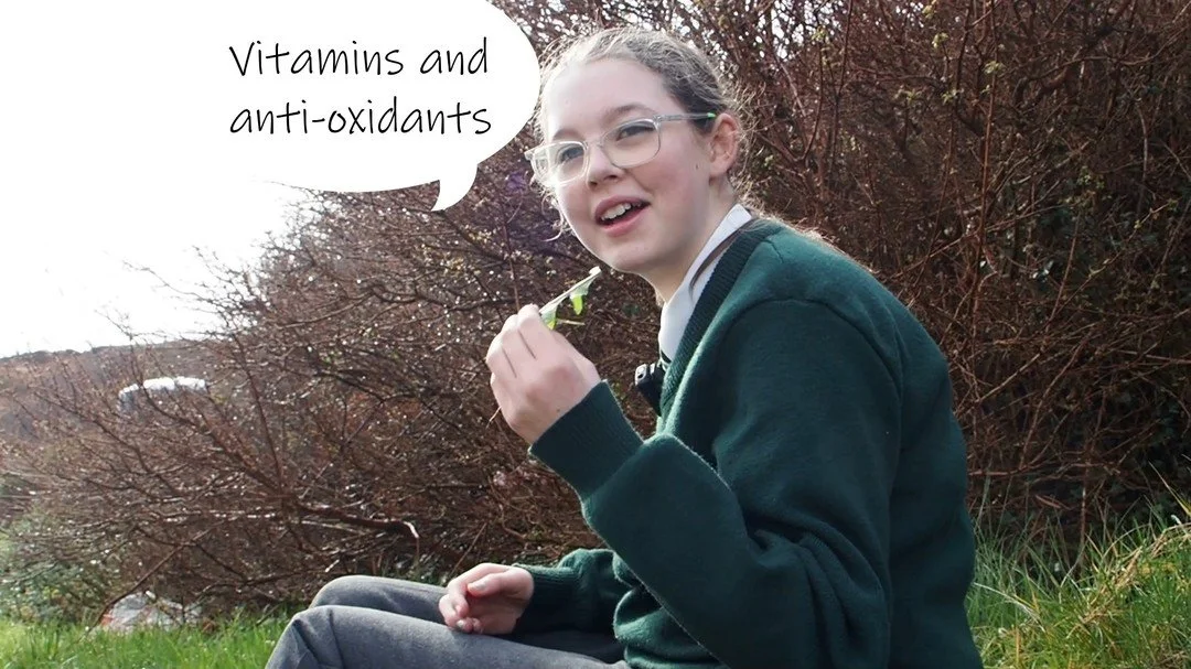 Irish Schools Sustainability Network