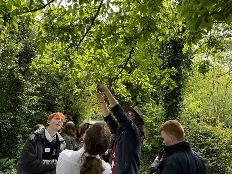 Irish Schools Sustainability Network