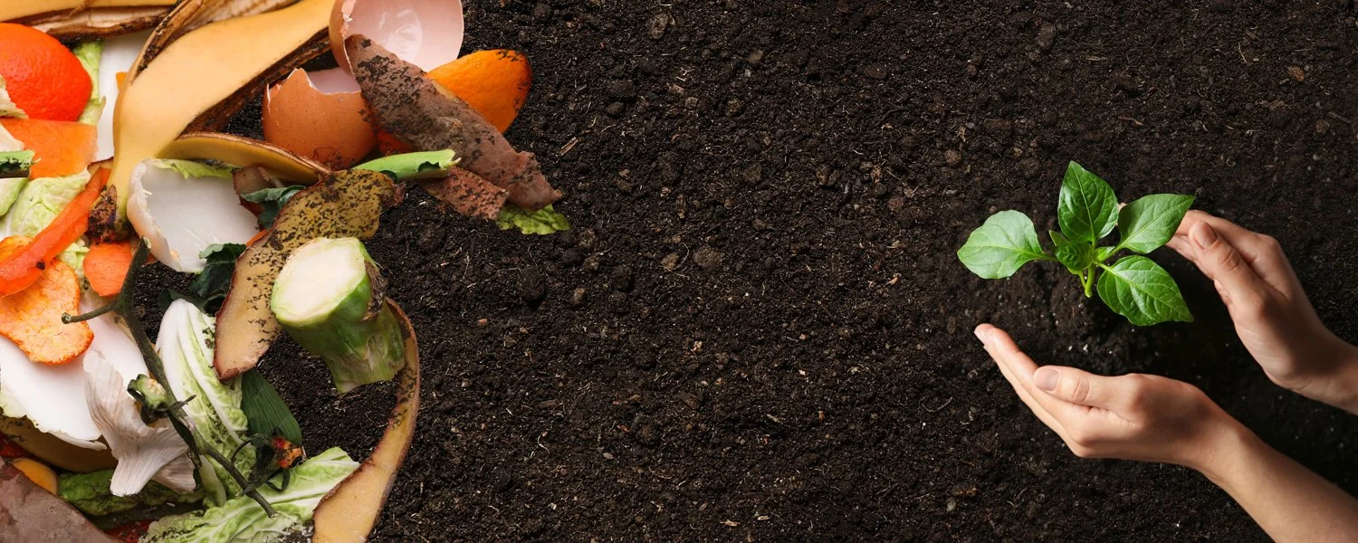 Why recycling food waste is the best sustainable solution - Cawleys