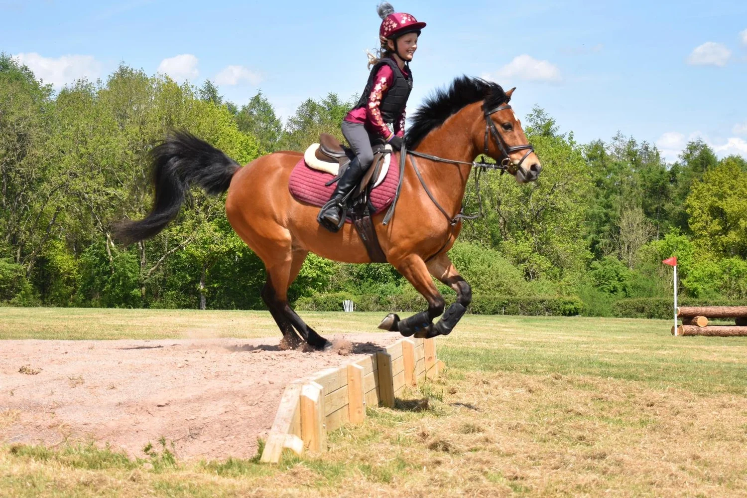 Latest News — Barrow Farm Equestrian