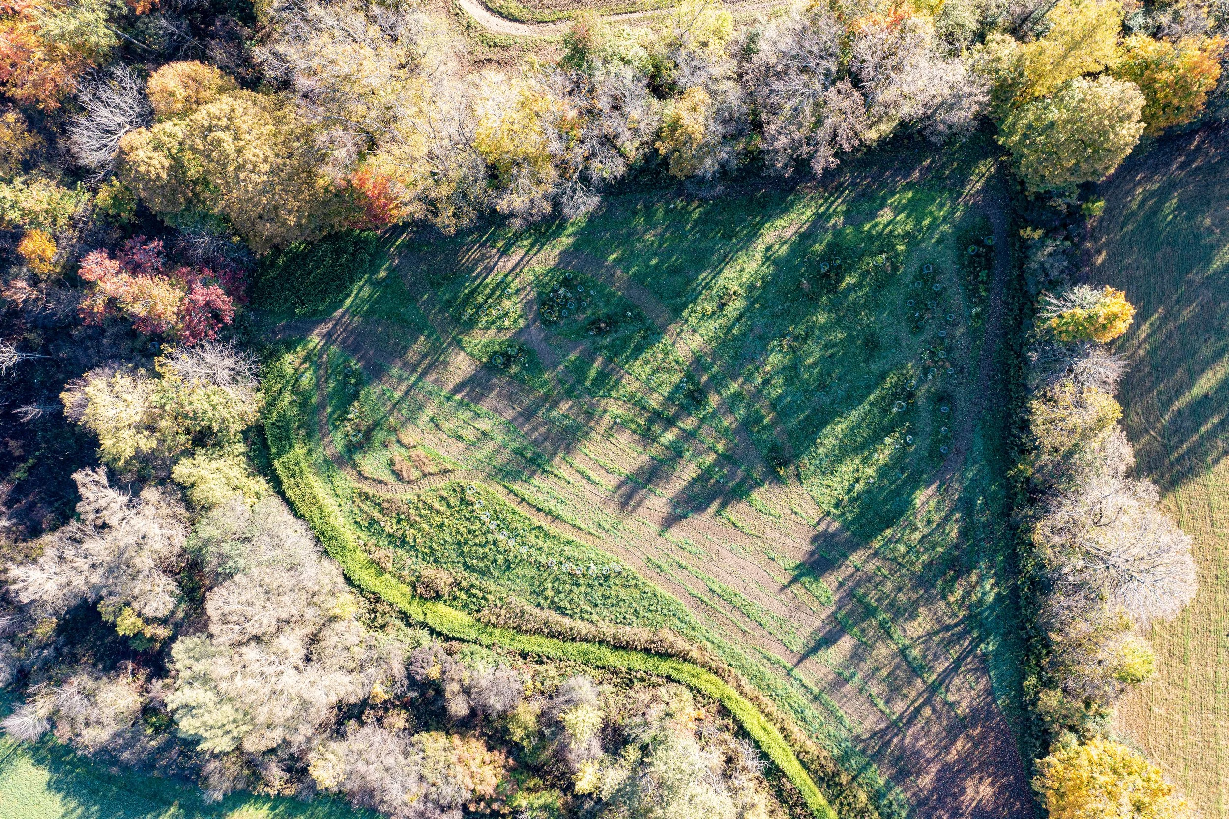 Slate Hill Edible Forest — Slate Hill Edible Forest
