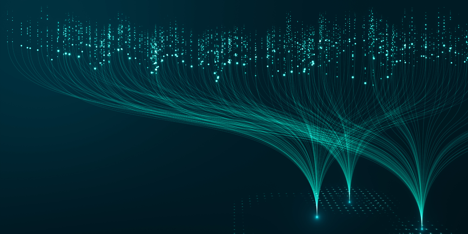 HIM Workflow — Harris Data Integrity Solutions