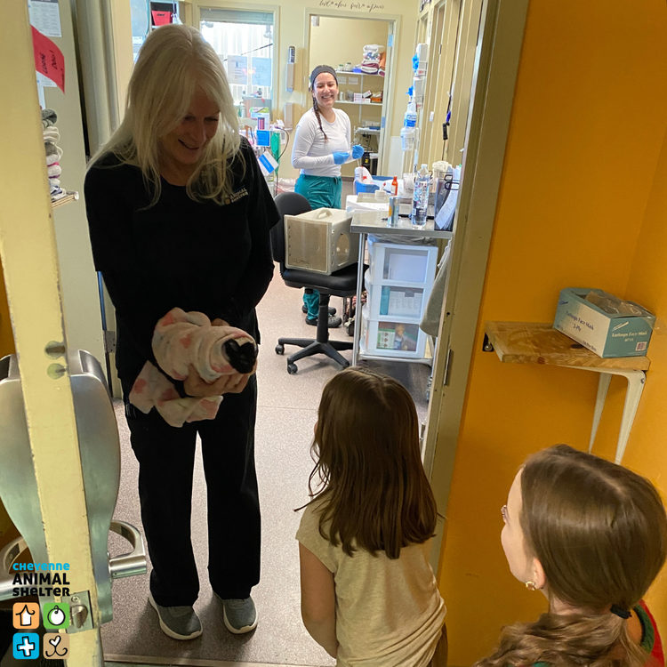 Shelter Blog and News — Cheyenne Animal Shelter