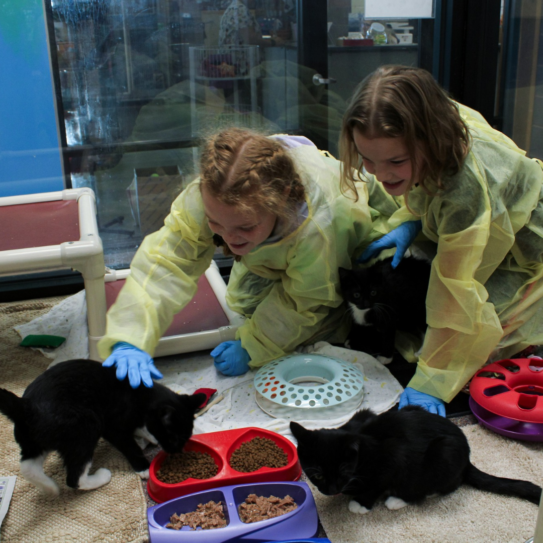 Critter Camp 2025 — Cheyenne Animal Shelter