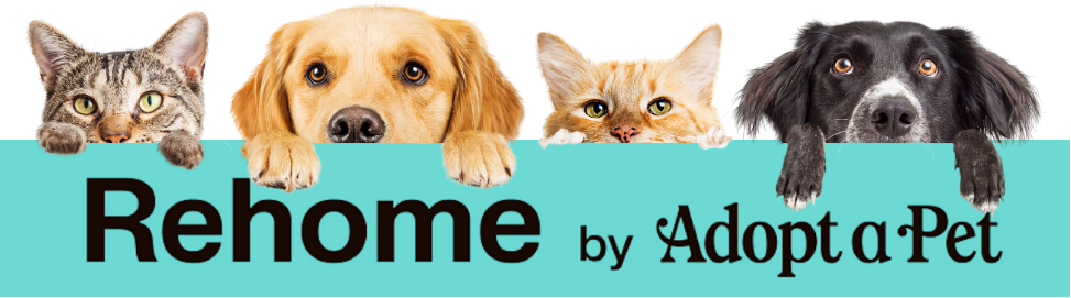 Rehome and Relinquish — Cheyenne Animal Shelter