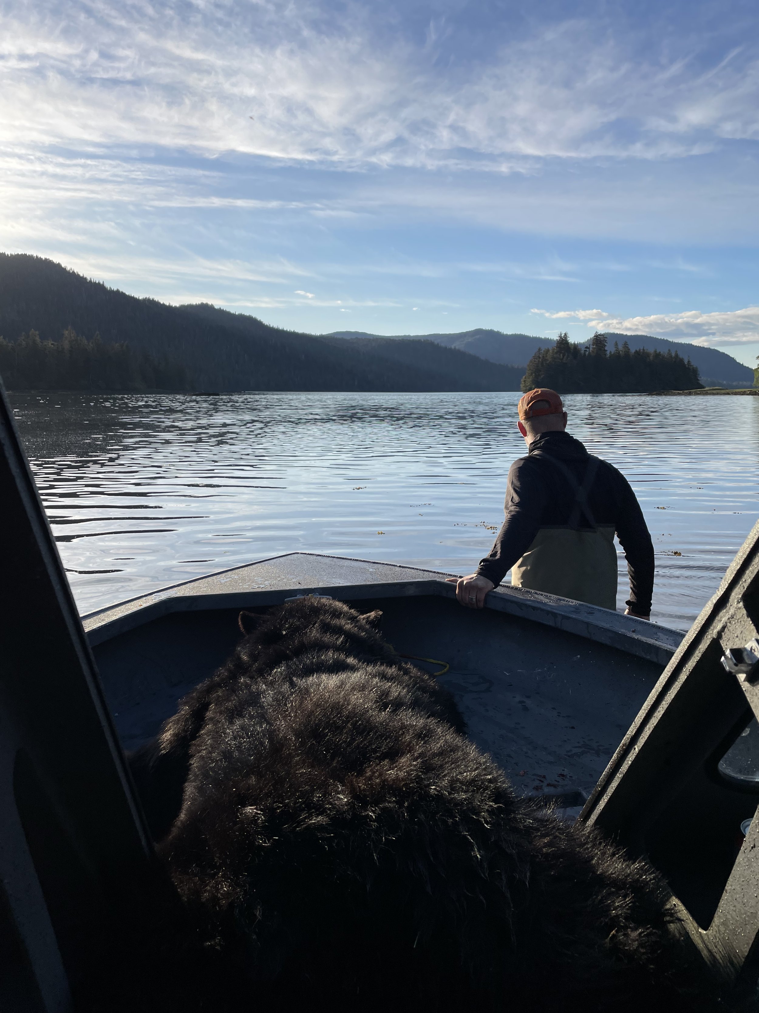 Bear Hunts | Experience Alaskan Adventure — Calder Mountain Lodge