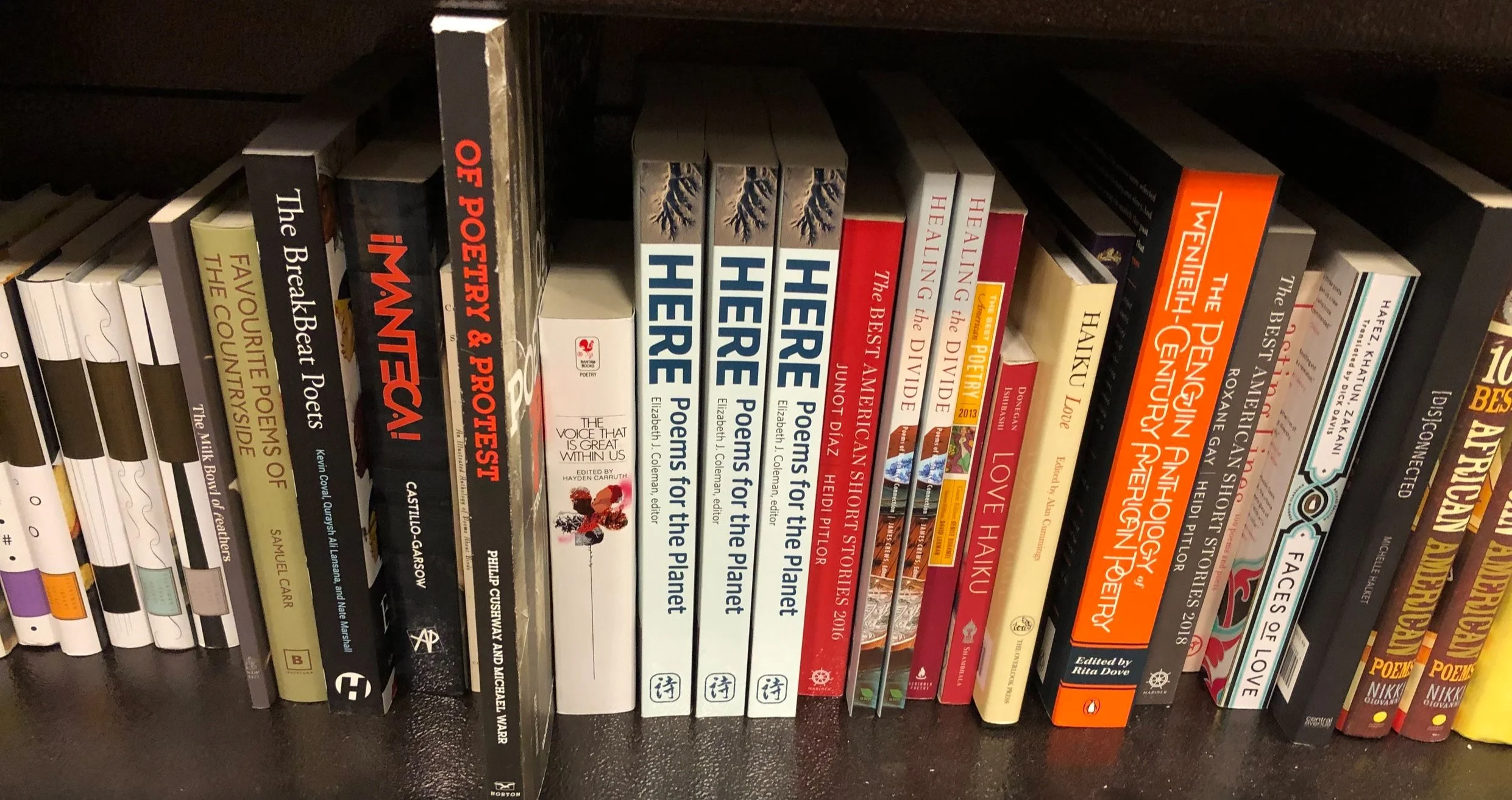 Books — Elizabeth J. Coleman