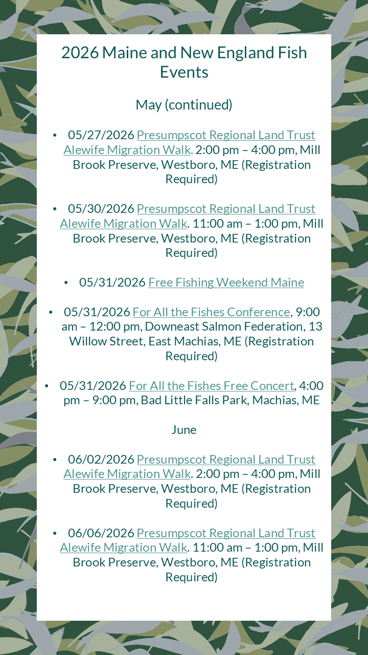 Stay Involved — Gulf of Maine River Herring Network