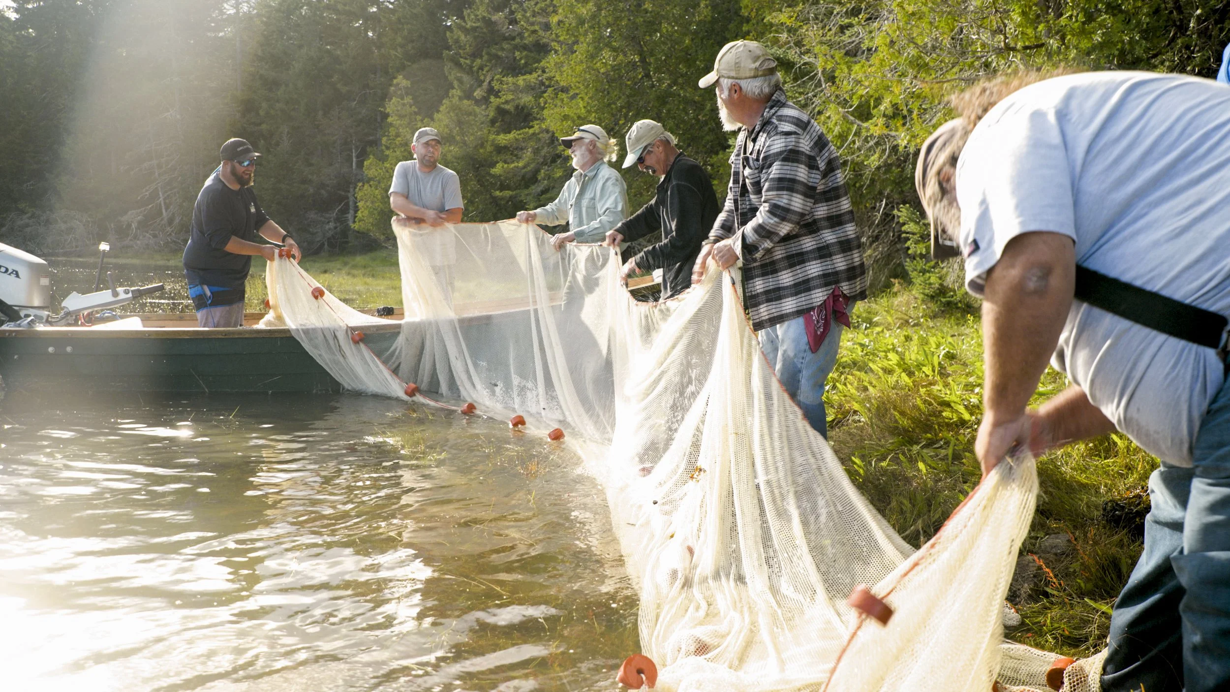 The River Herring Network — Gulf of Maine River Herring Network