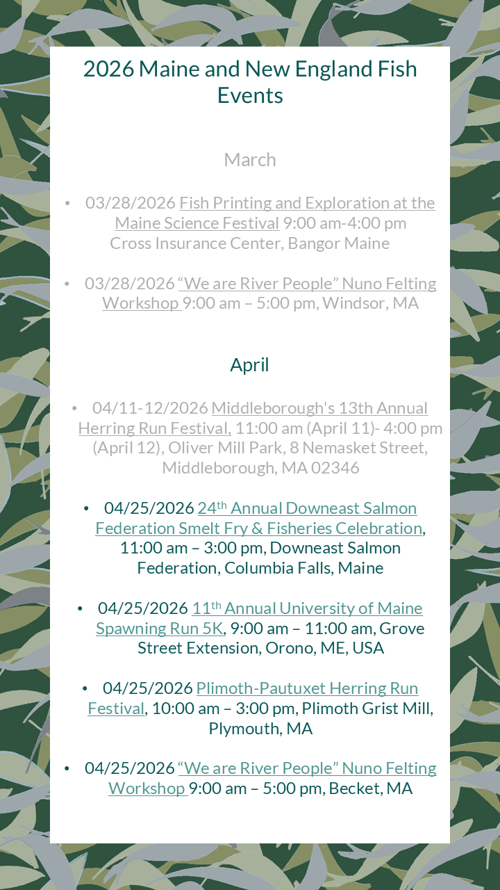 Stay Involved — Gulf of Maine River Herring Network