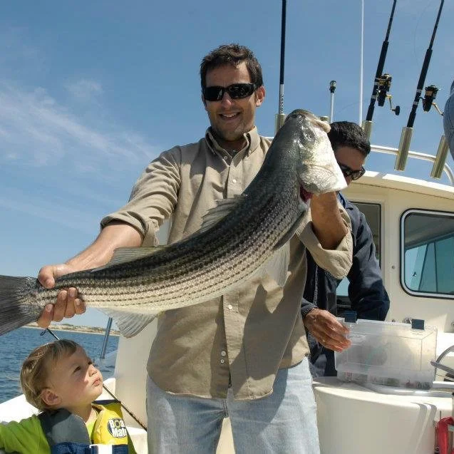 About the Owner – Mayo’s Cape Codder Guest House, Provincetown MA ...