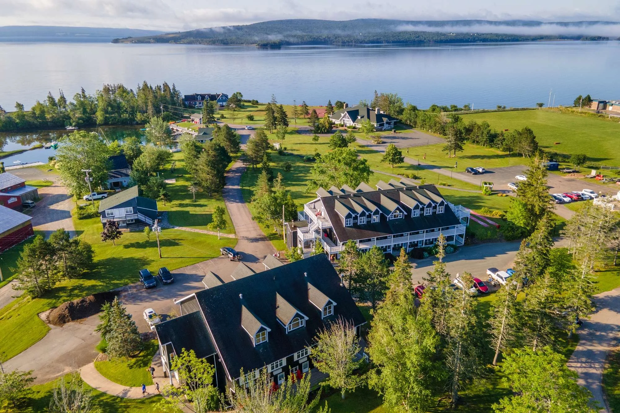 Free Speech In Medicine and Science