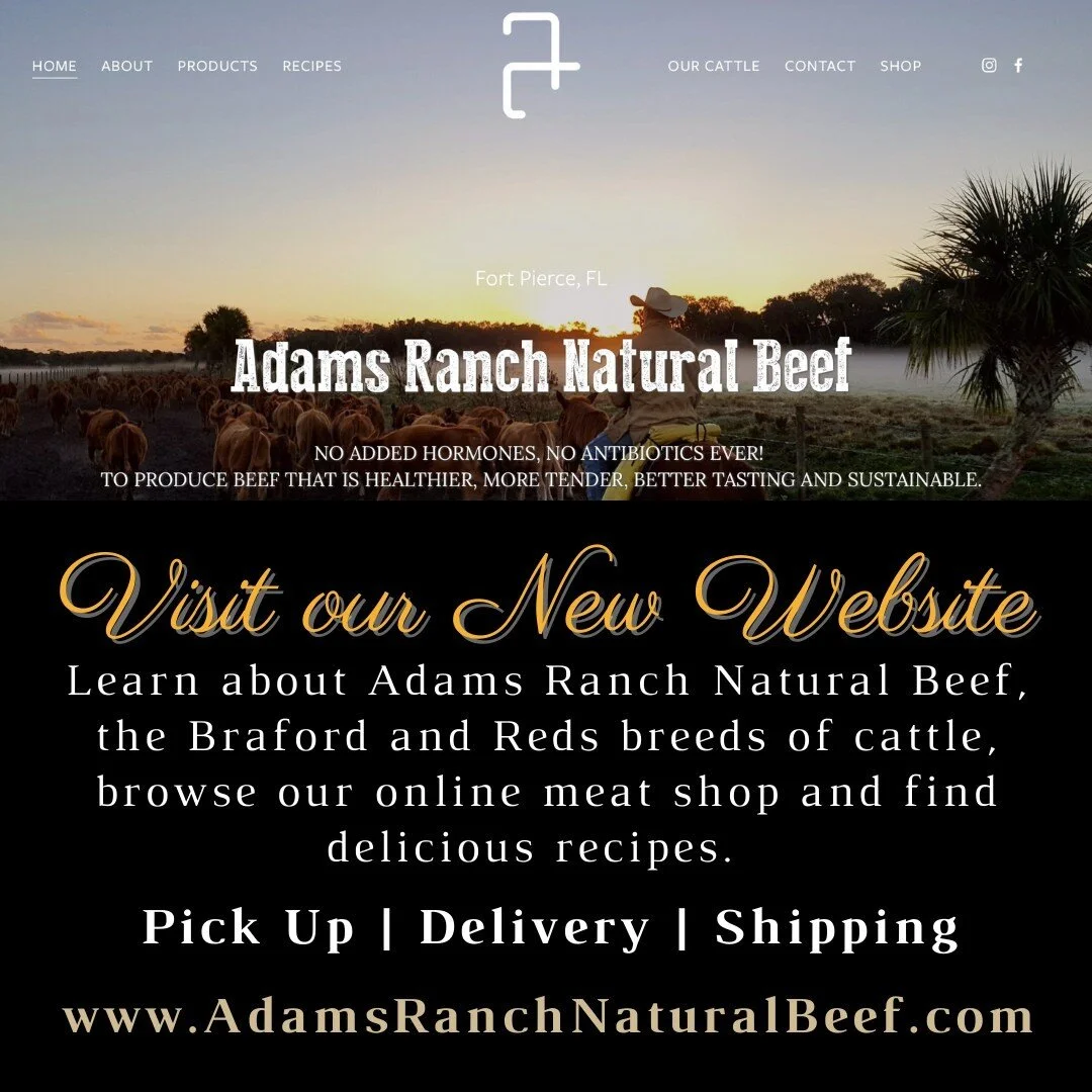 Adams Ranch | All Natural Beef | Nationally Recognized Seed-Stock