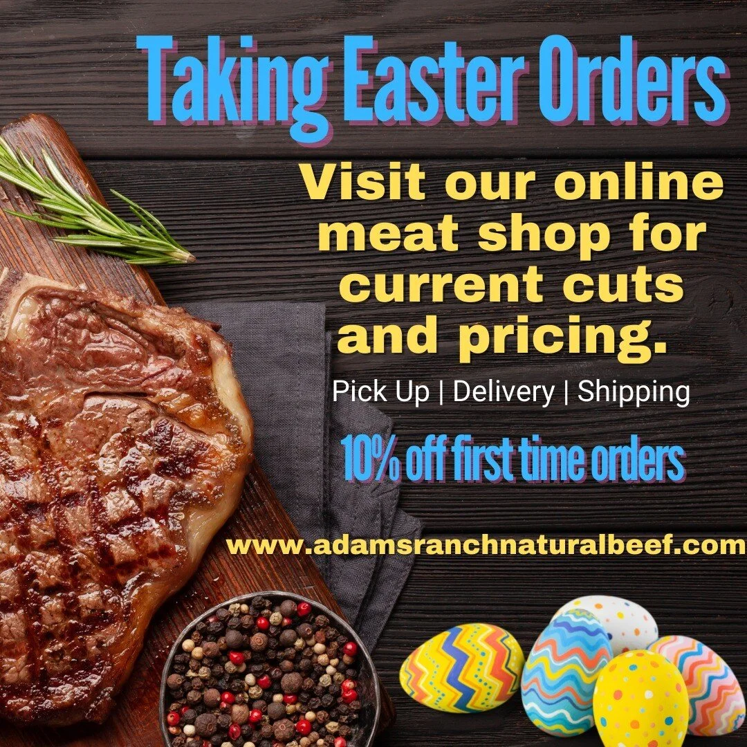 Adams Ranch | All Natural Beef | Nationally Recognized Seed-Stock