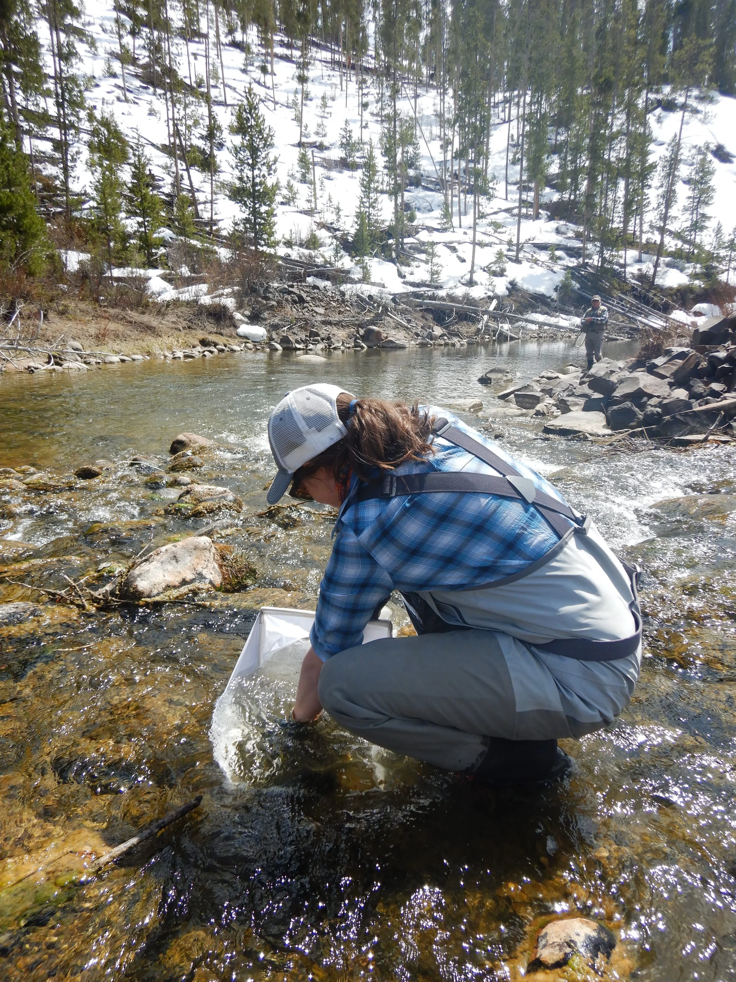Aquatic Habitat Assessment — FlyWater, inc.