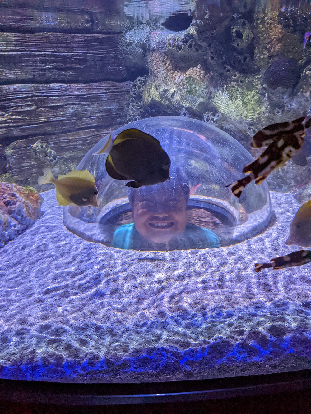 Summit Future Foundation