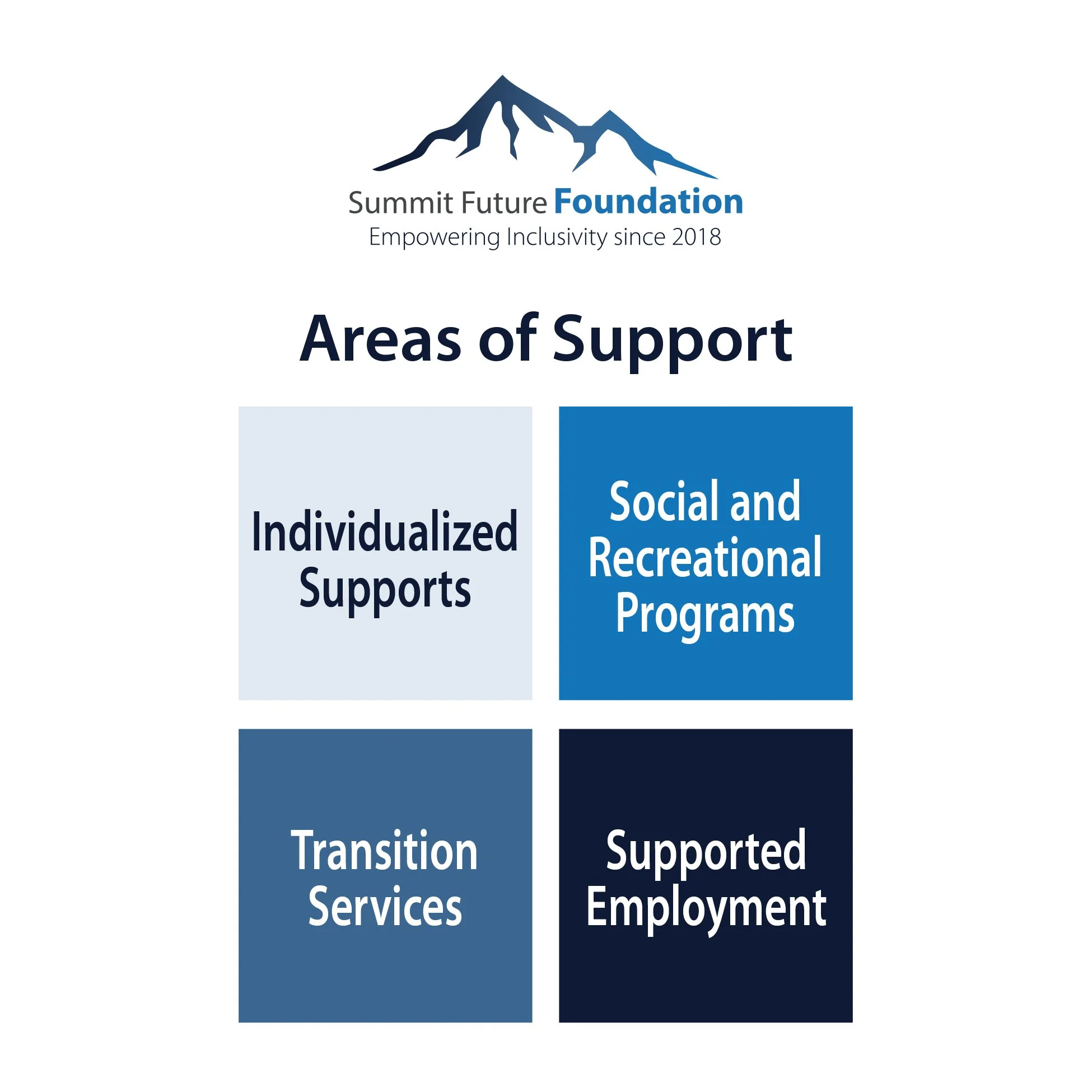Programs — Summit Future Foundation