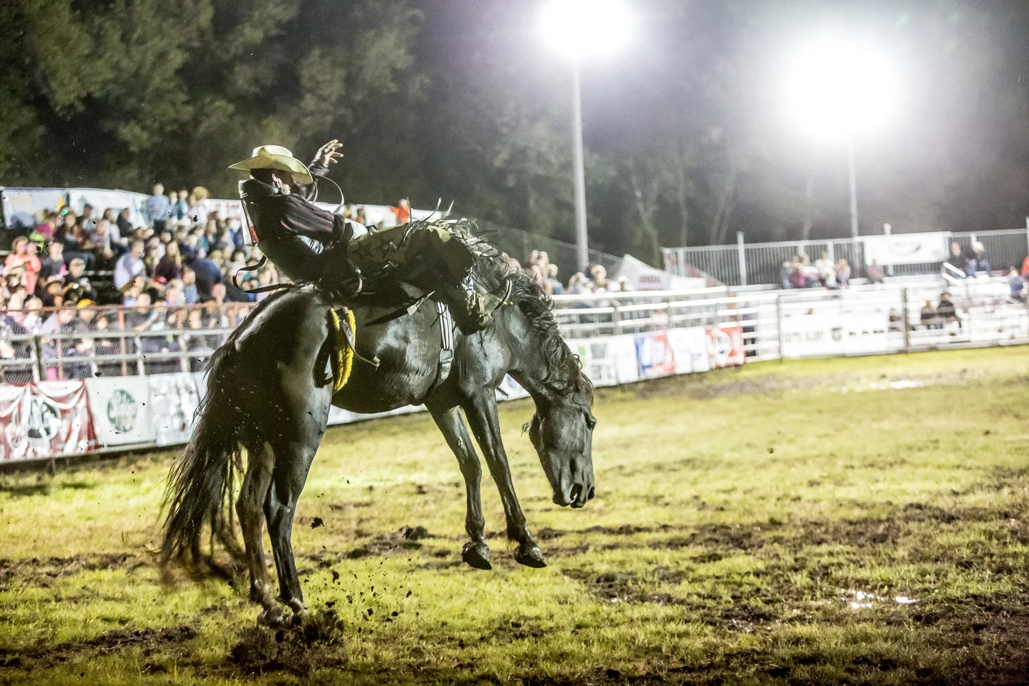 Defeat of Jesse James Days Tips — Visit Northfield