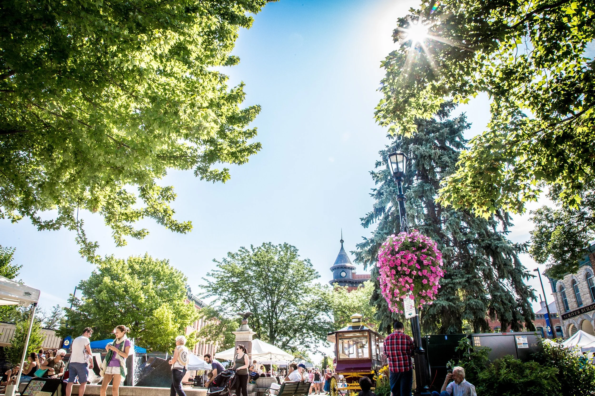 Events — Visit Northfield