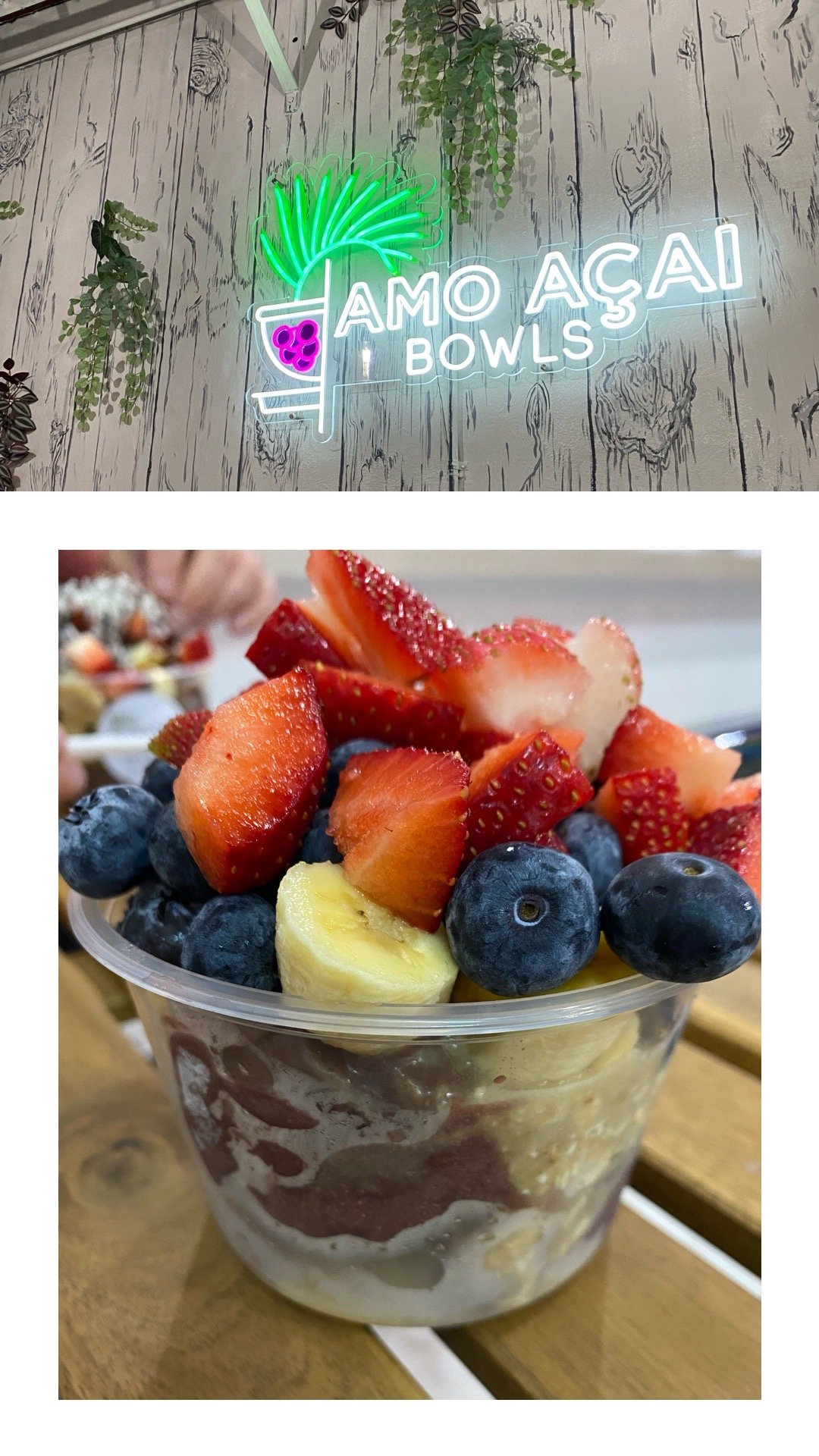 Ponce — Trails and Travels with Lea