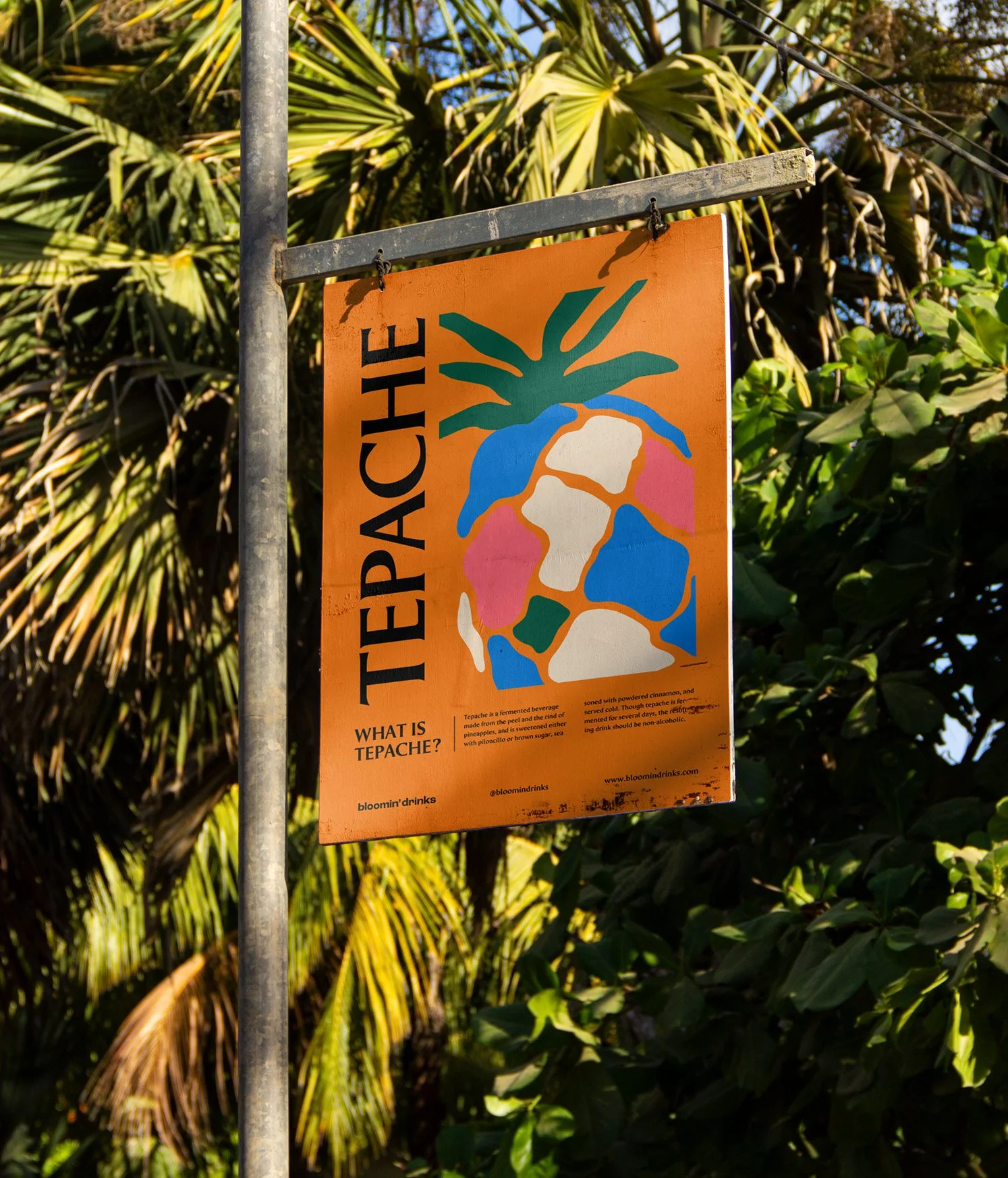 Tepache (Cassia & Sun) — Blake Scott Design