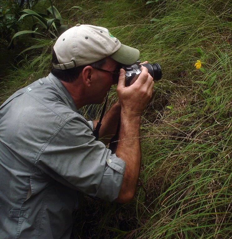 Jay Vannini on Cypripedium, Phragmipedium, Mexipedium and Selenipedium ...