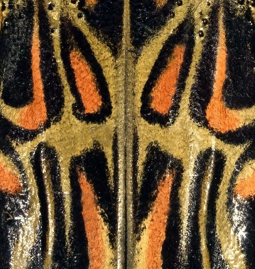 Jay Vannini and friends' close encounters with many remarkable spider ...