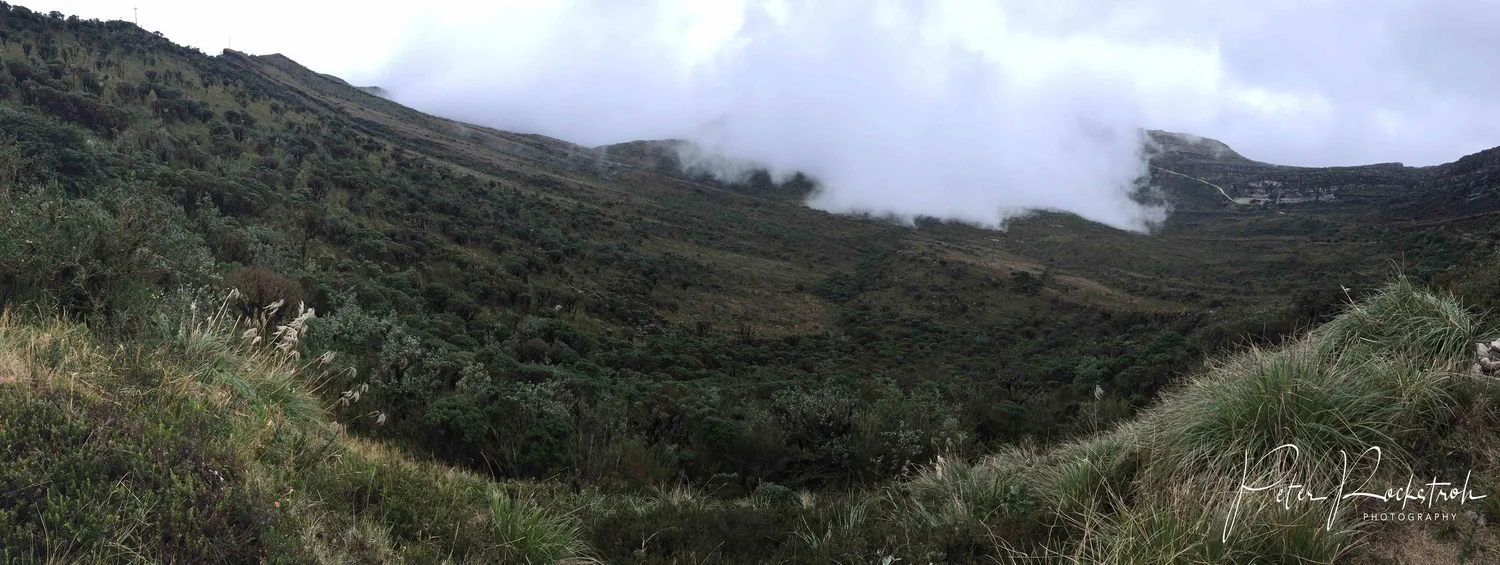 Páramo — Exotica Esoterica