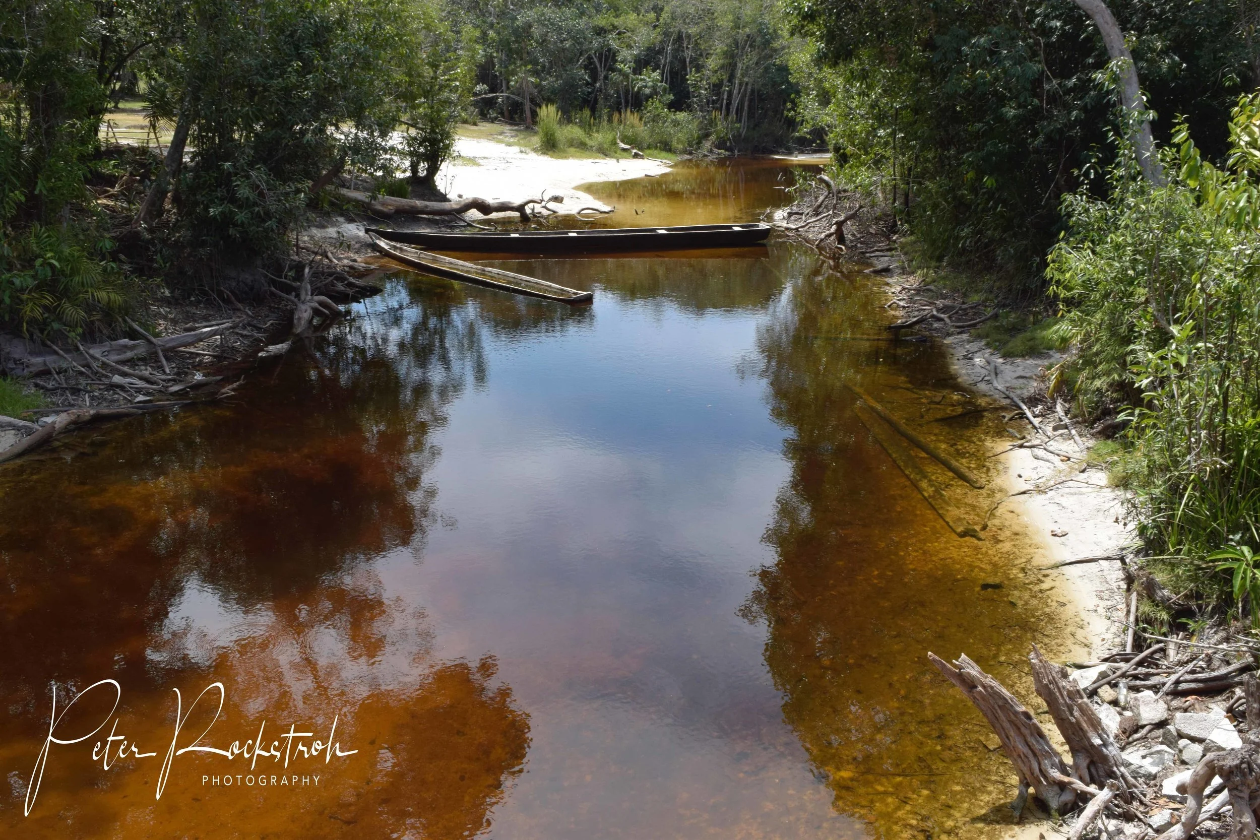 Blackwater Streams and Blackwater Fish — Exotica Esoterica