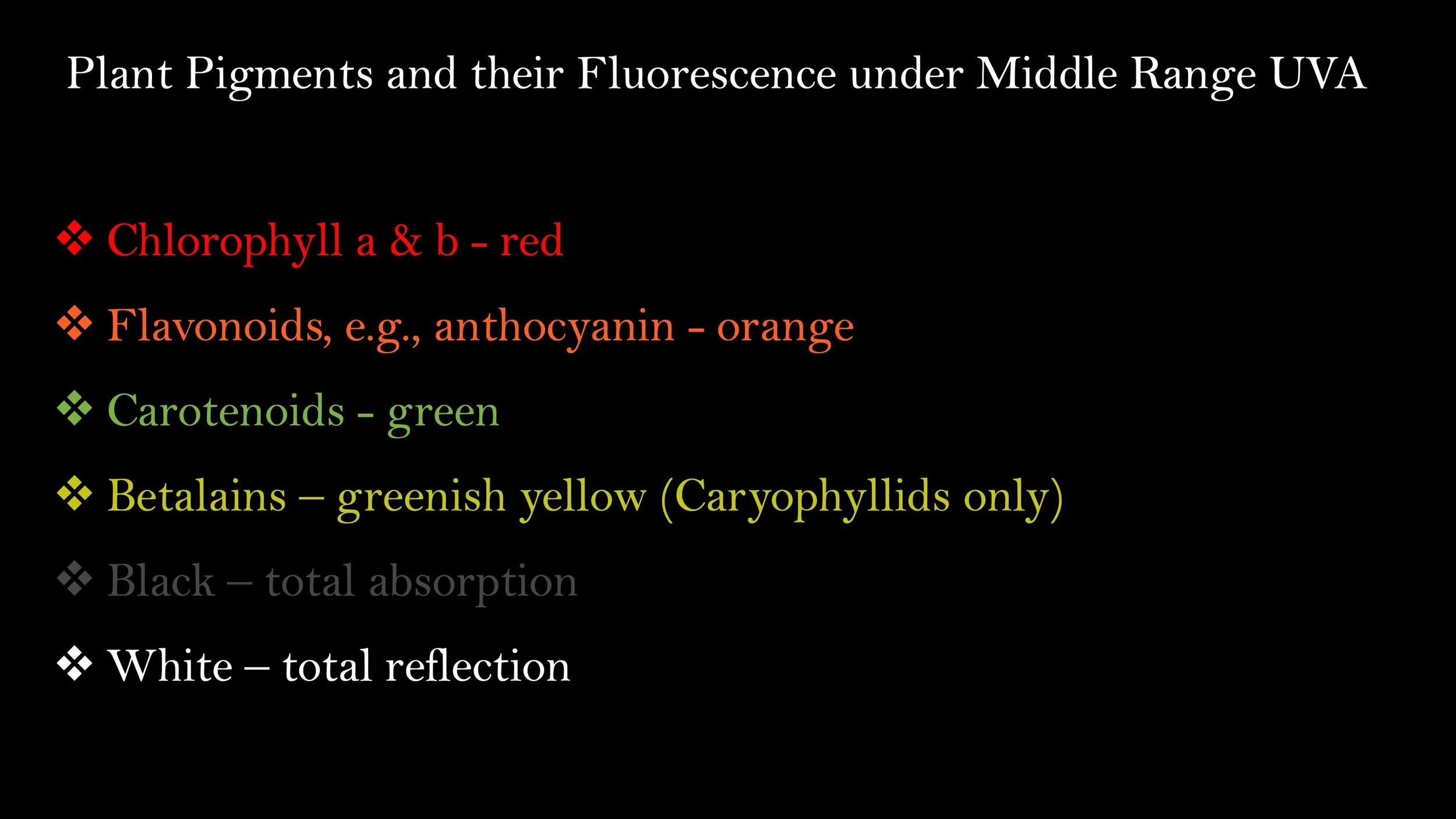 Tropical aroids (Araceae) and Ultraviolet (UV) illumination. — Exotica ...