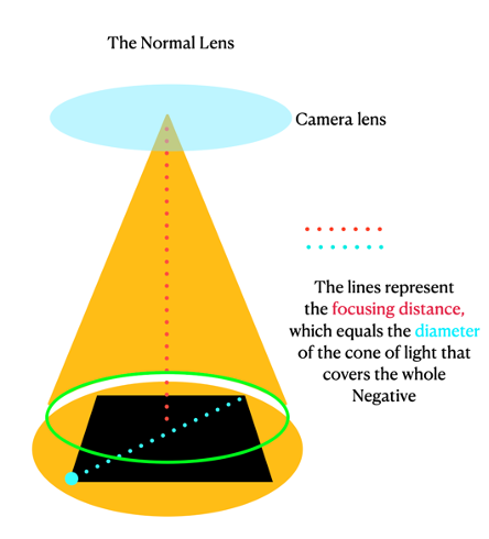 Understanding Depth of Field in Nature Photography — Exotica Esoterica