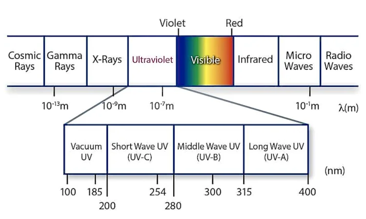 Ultraviolet Fluorescence in Plants - Light in the Fast Lane — Exotica Esoterica