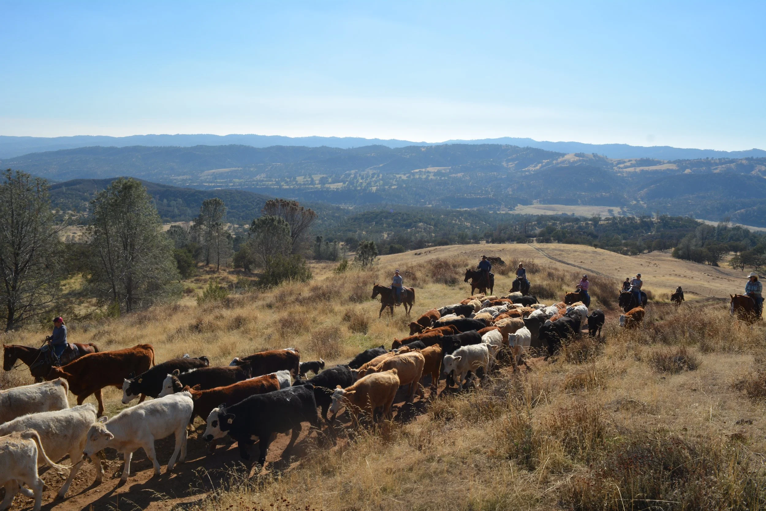 V6 Ranch Calendar of Rides and Events — V6 Ranch - Authentic California ...