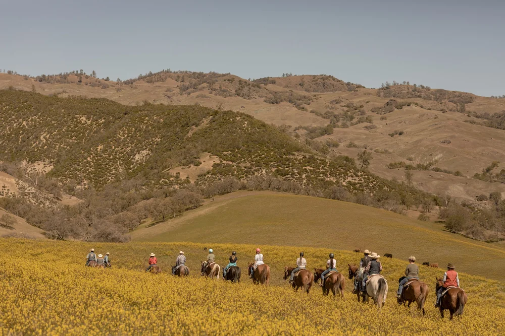 V6 Ranch Calendar of Rides and Events — V6 Ranch