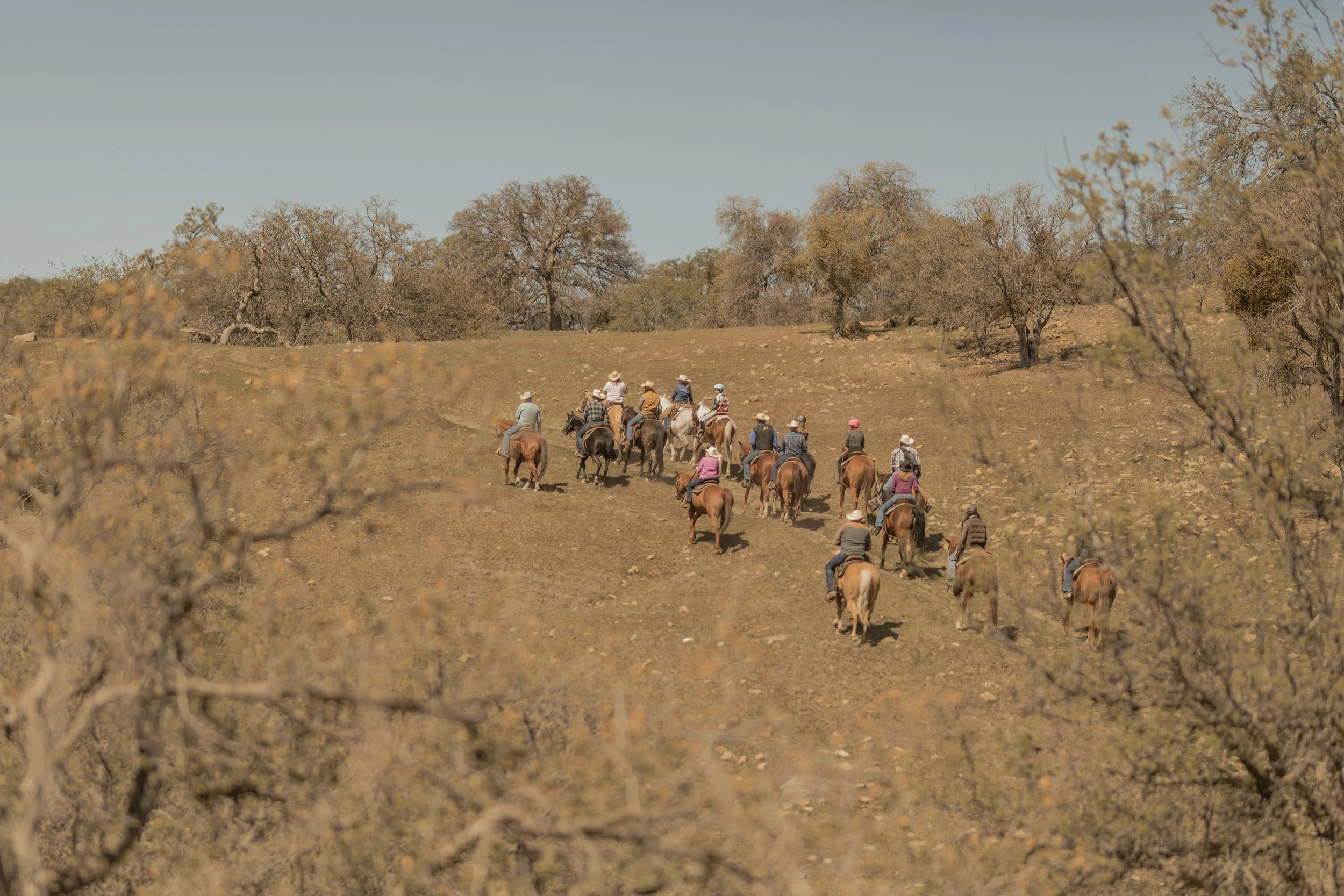 V6 Ranch Wrangler Ride — V6 Ranch