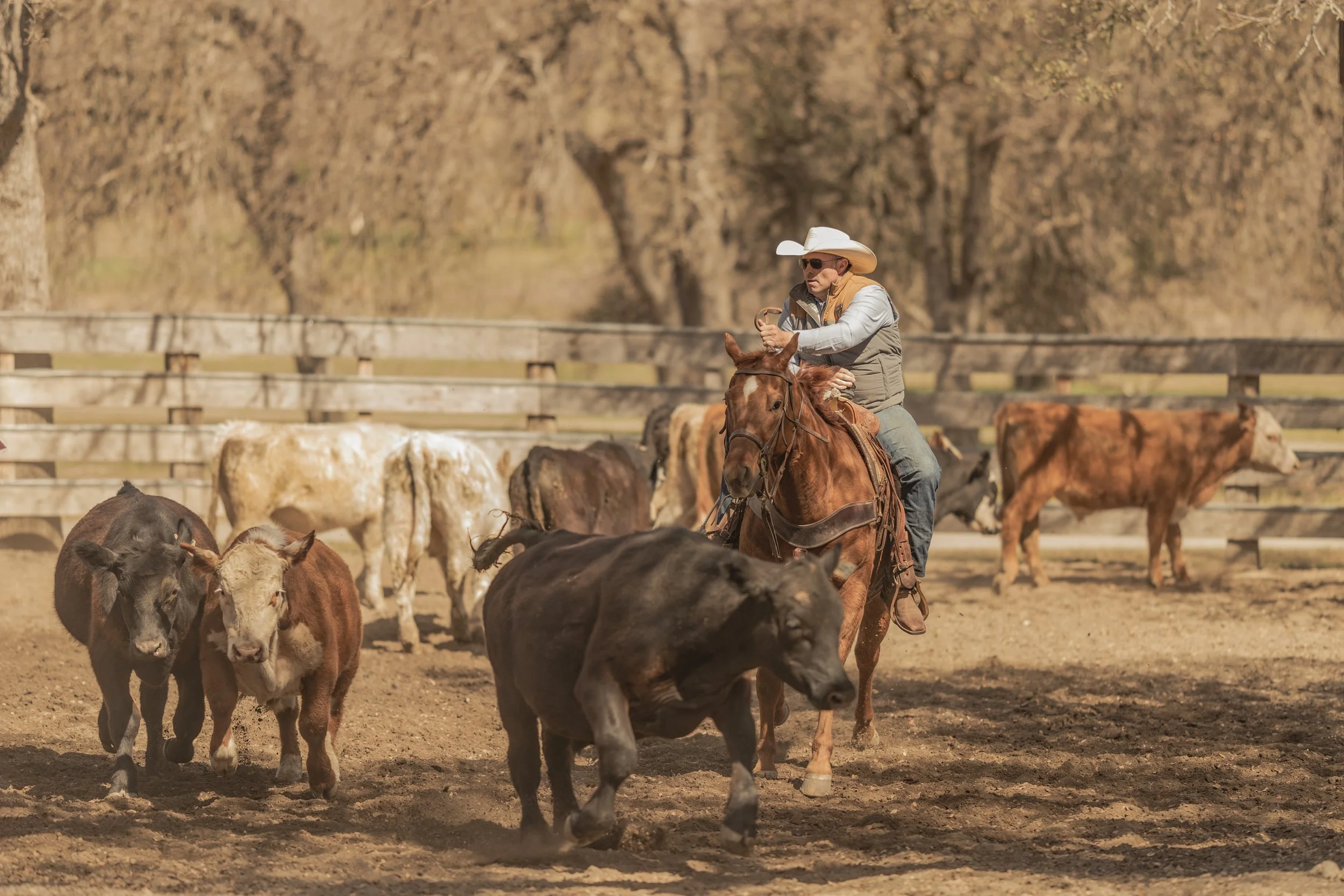 V6 Ranch Cowboy Academies — V6 Ranch