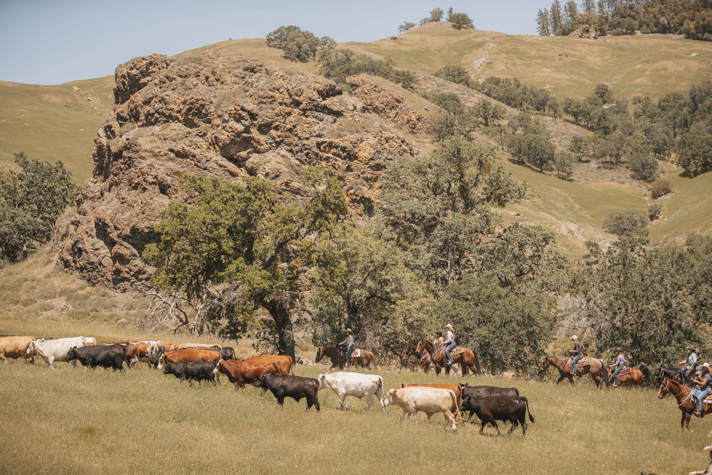 V6 Ranch Calendar of Rides and Events — V6 Ranch - Authentic California ...