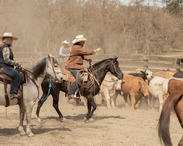 V6 Ranch Calendar of Rides and Events — V6 Ranch - Authentic California ...