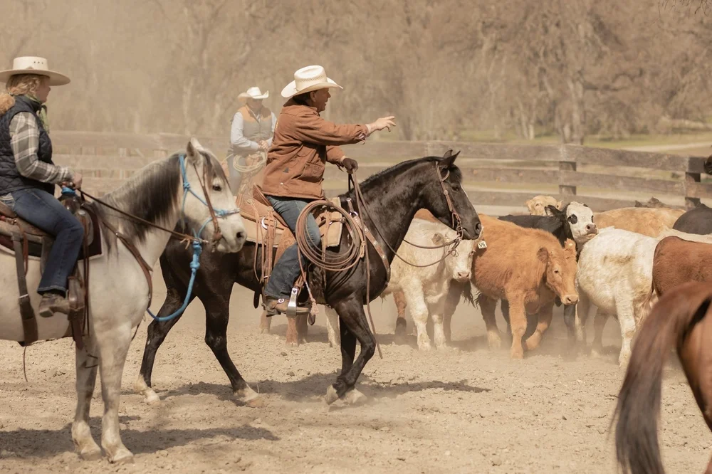 V6 Ranch Calendar of Rides and Events — V6 Ranch