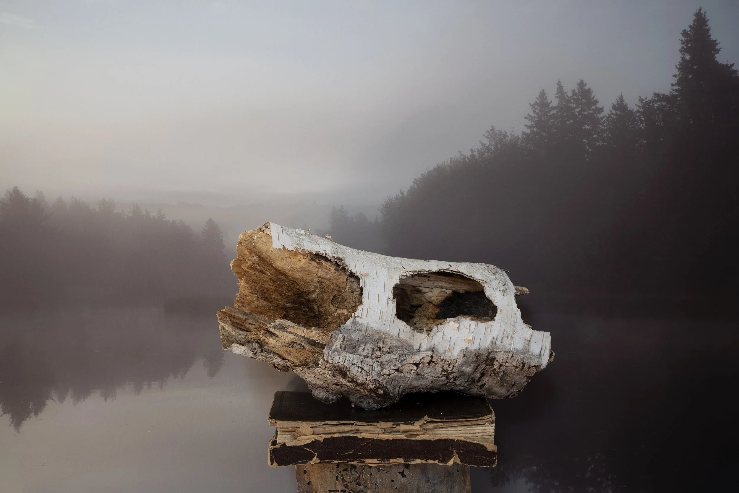 Upcoming Shows — Kingston Gallery