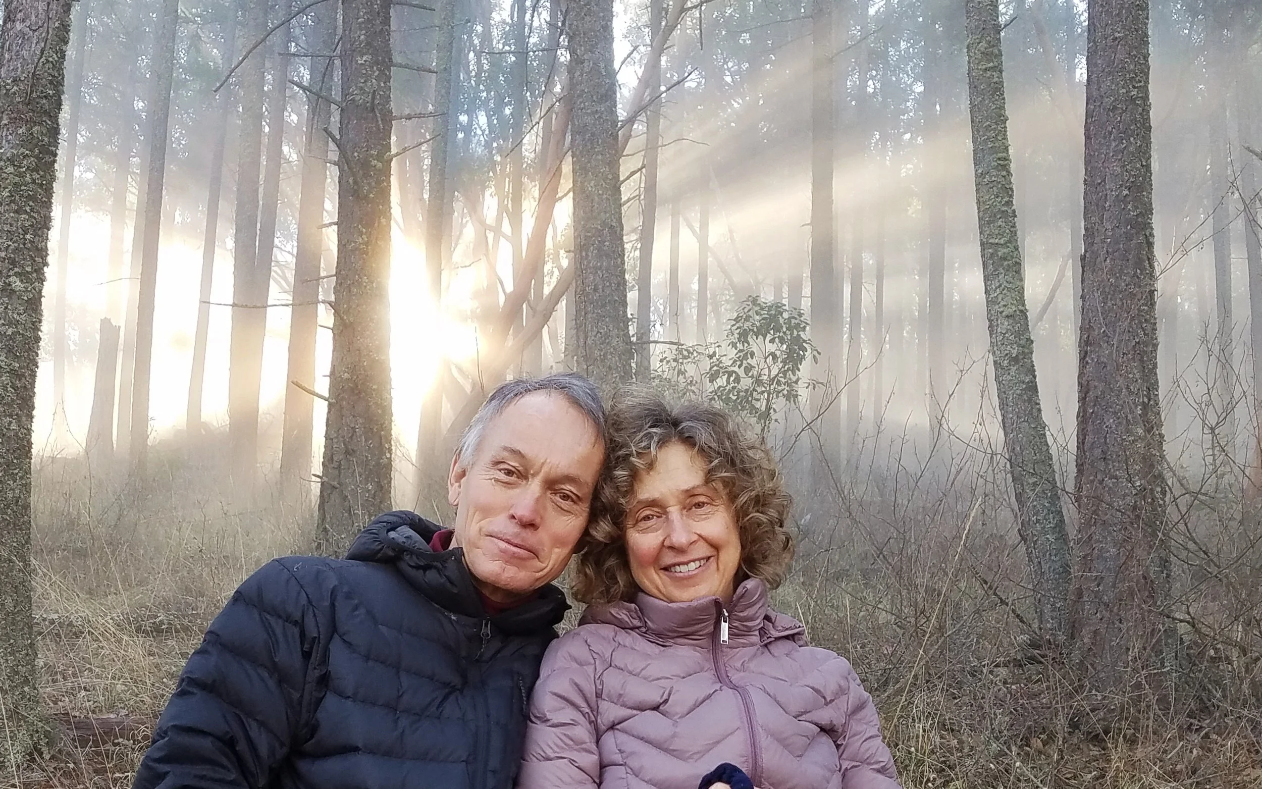 EcoNest Architecture and EcoNest Building Co. — EcoNest Architecture