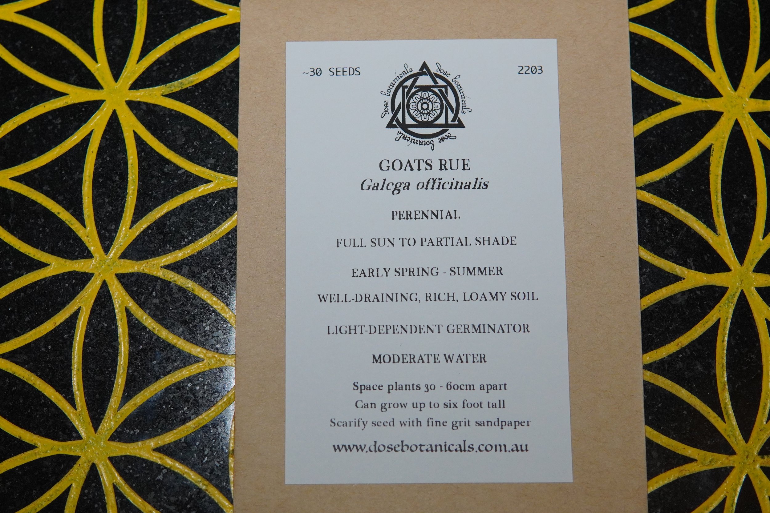 Seed of Goat's Rue — DOSE BOTANICALS