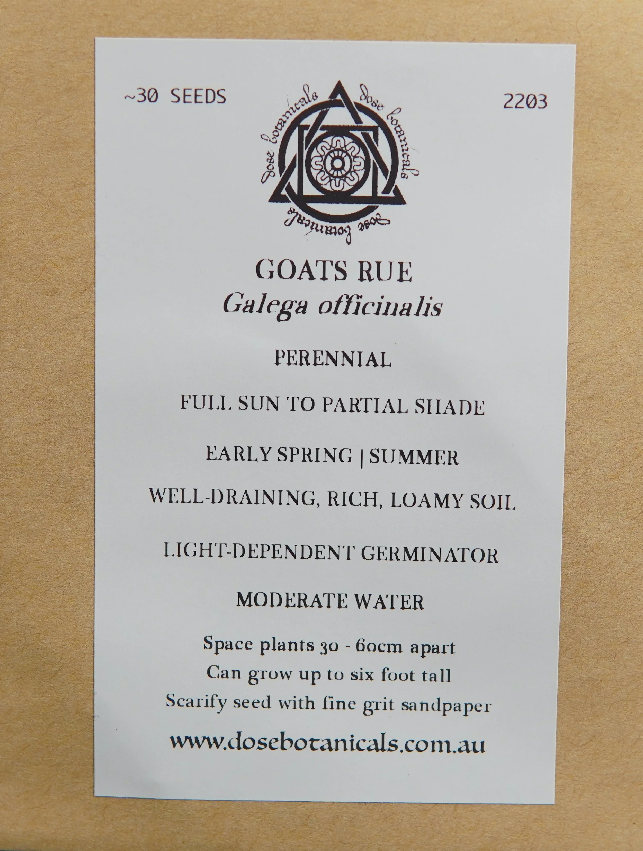 Seed of Goat's Rue — DOSE BOTANICALS