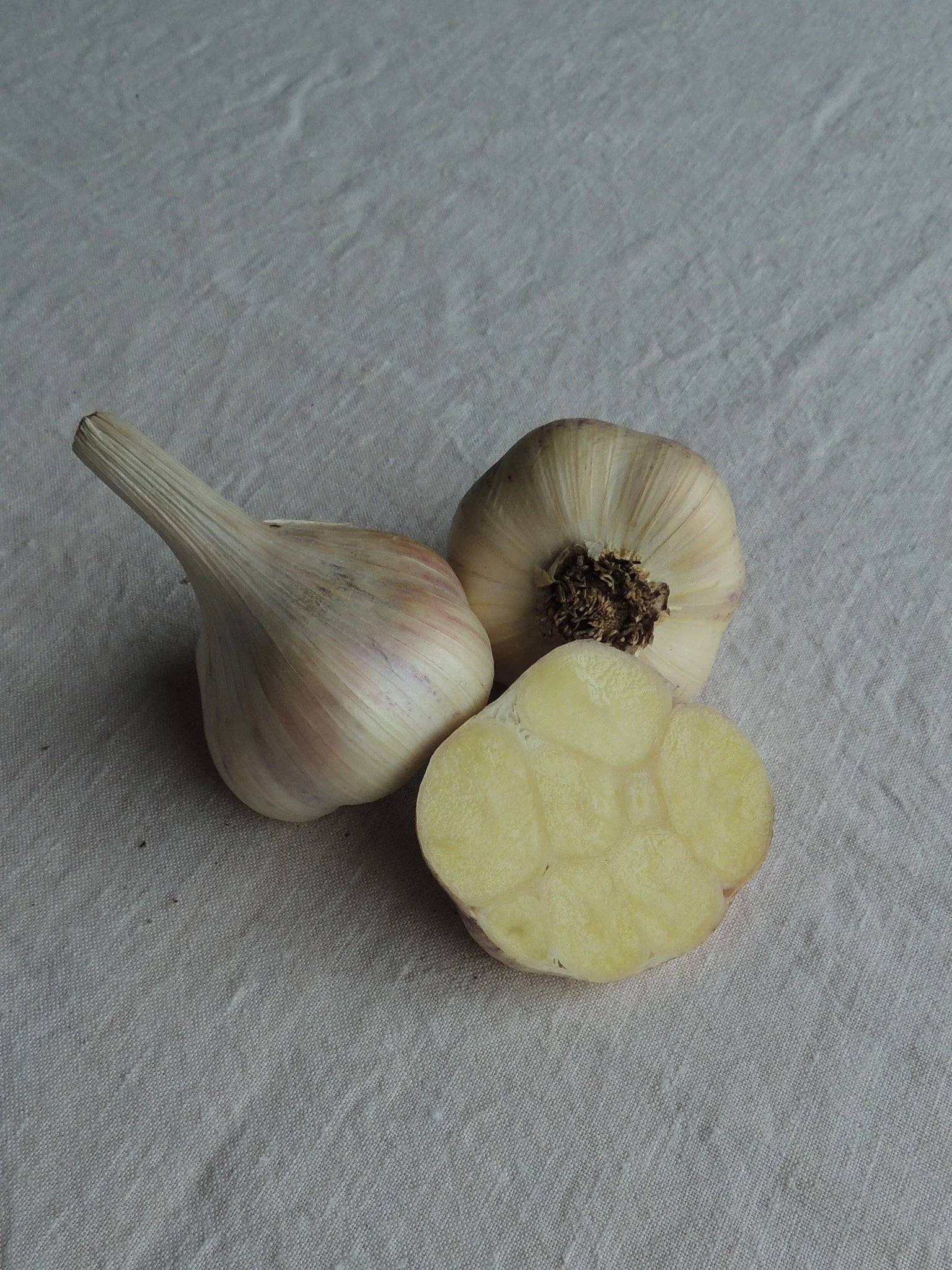 Garlic Shop — Sassafras Meadows Garlic Farm : South Coast Australia