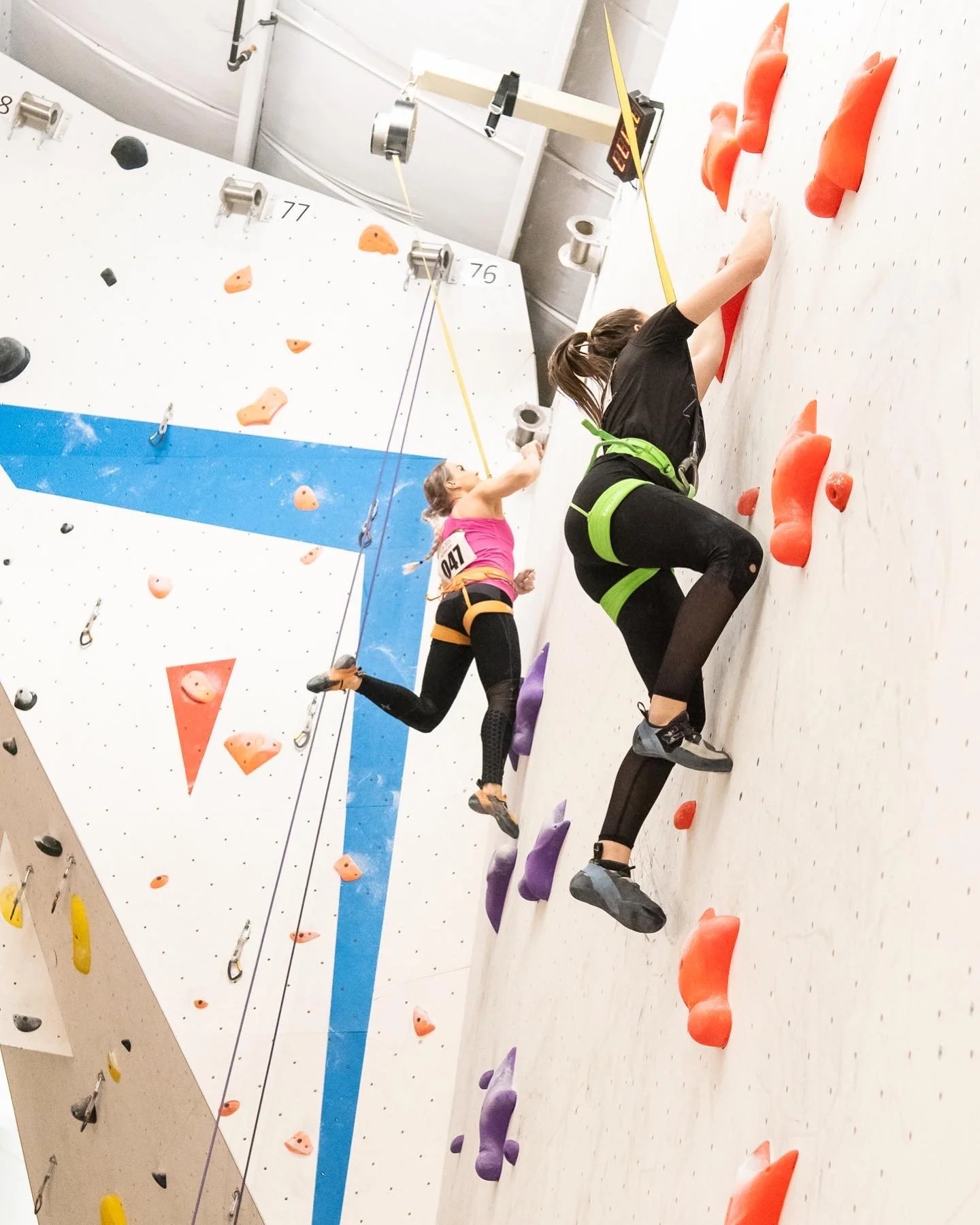 Ontario Climbing Federation