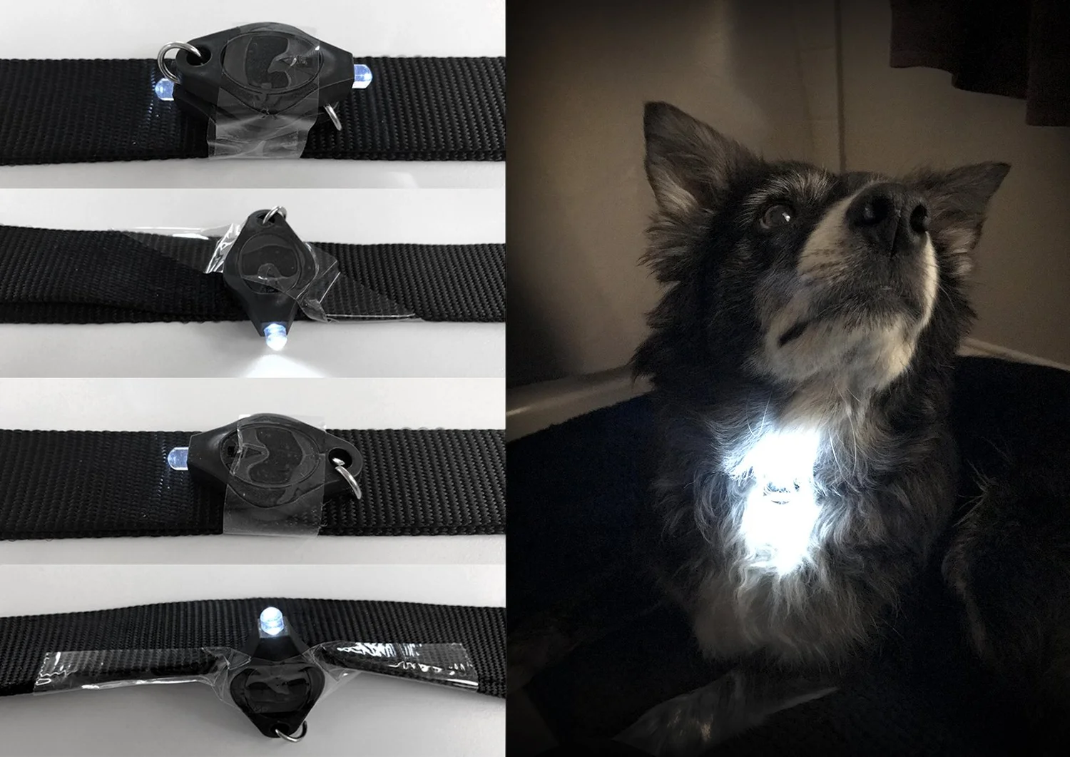fi smart collar | Bould Design | industrial design studio | san francisco